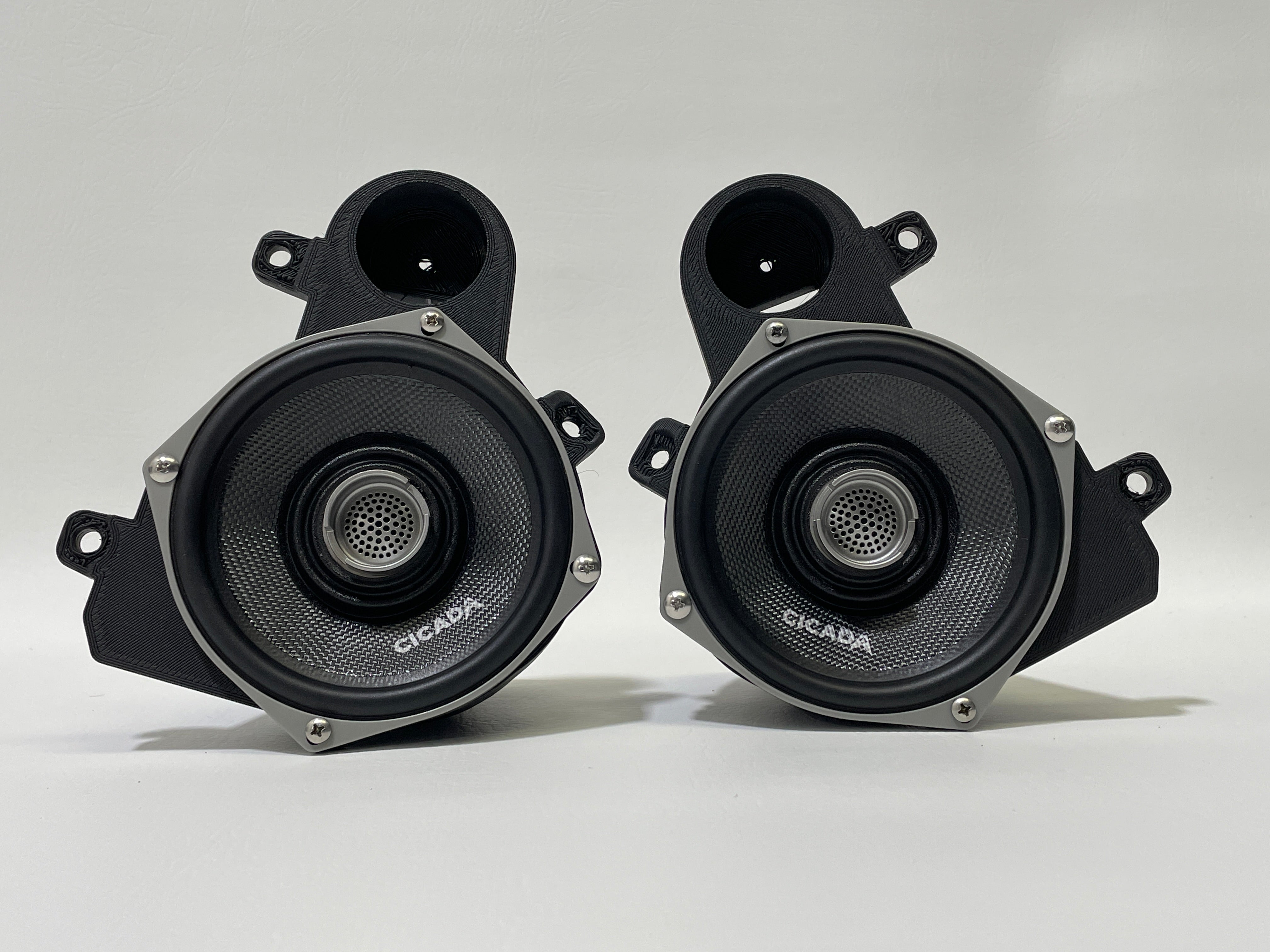 Cicada Audio